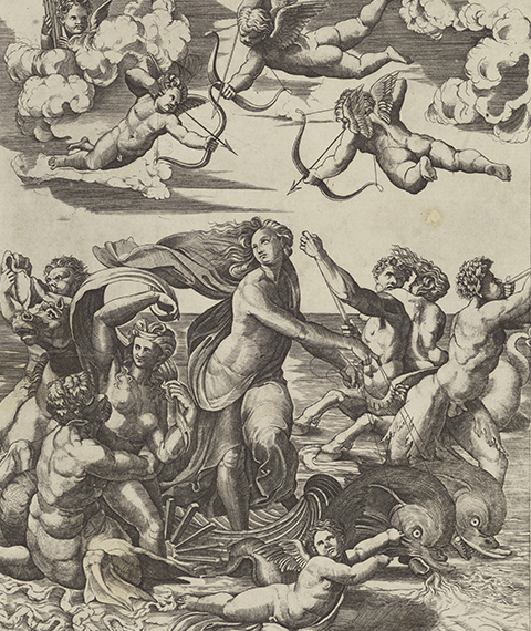 The Triumph of Galatea | Artworks | Uffizi Galleries