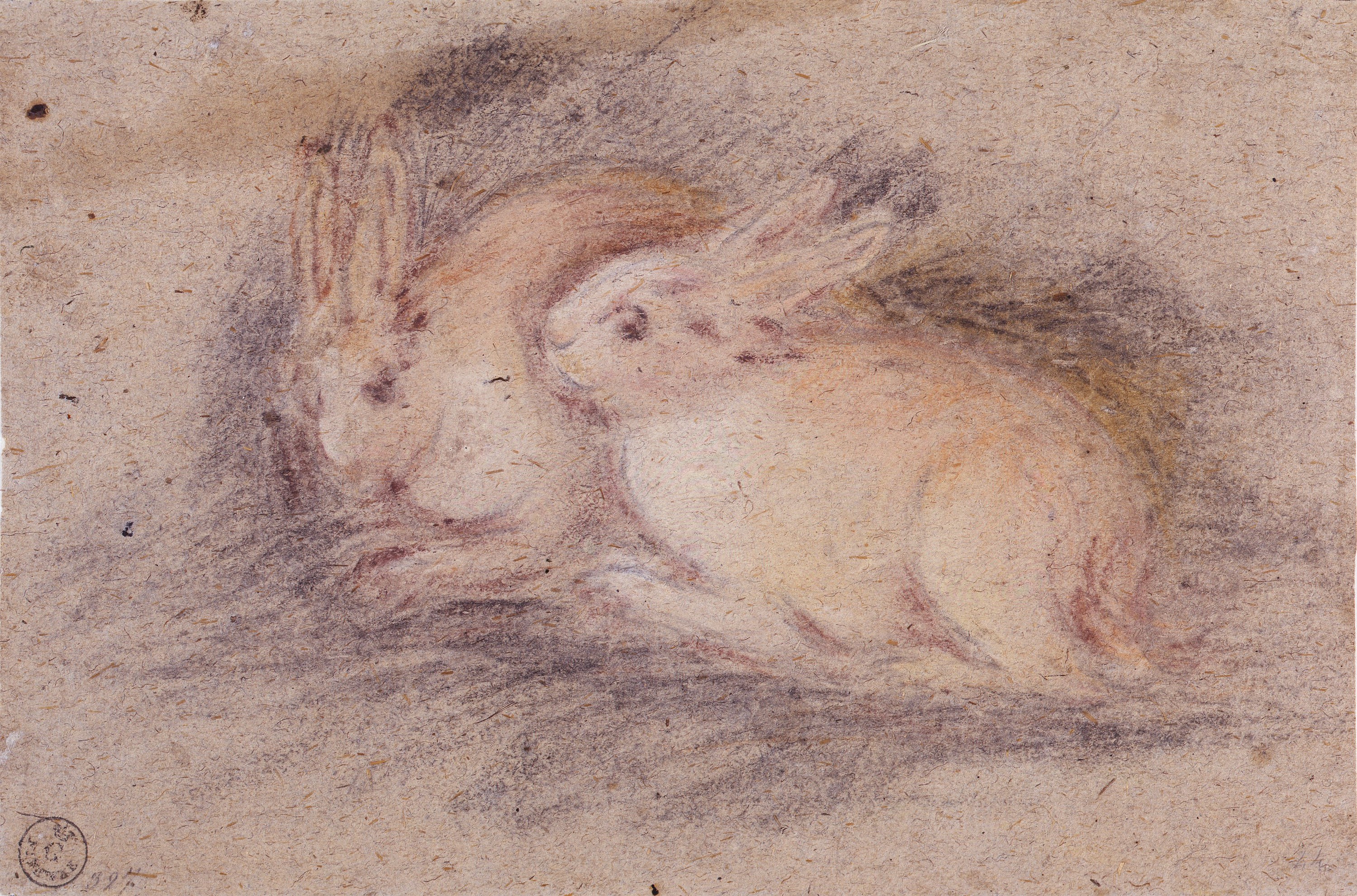Two Rabbits by Jacopo Bassano | Artworks | Uffizi Galleries