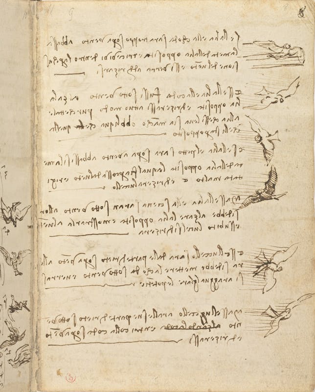 L'acqua microscopio della natura. Il Codice Leicester di Leonardo da ... L'acqua microscopio della natura. Il Codice Leicester di Leonardo da ...