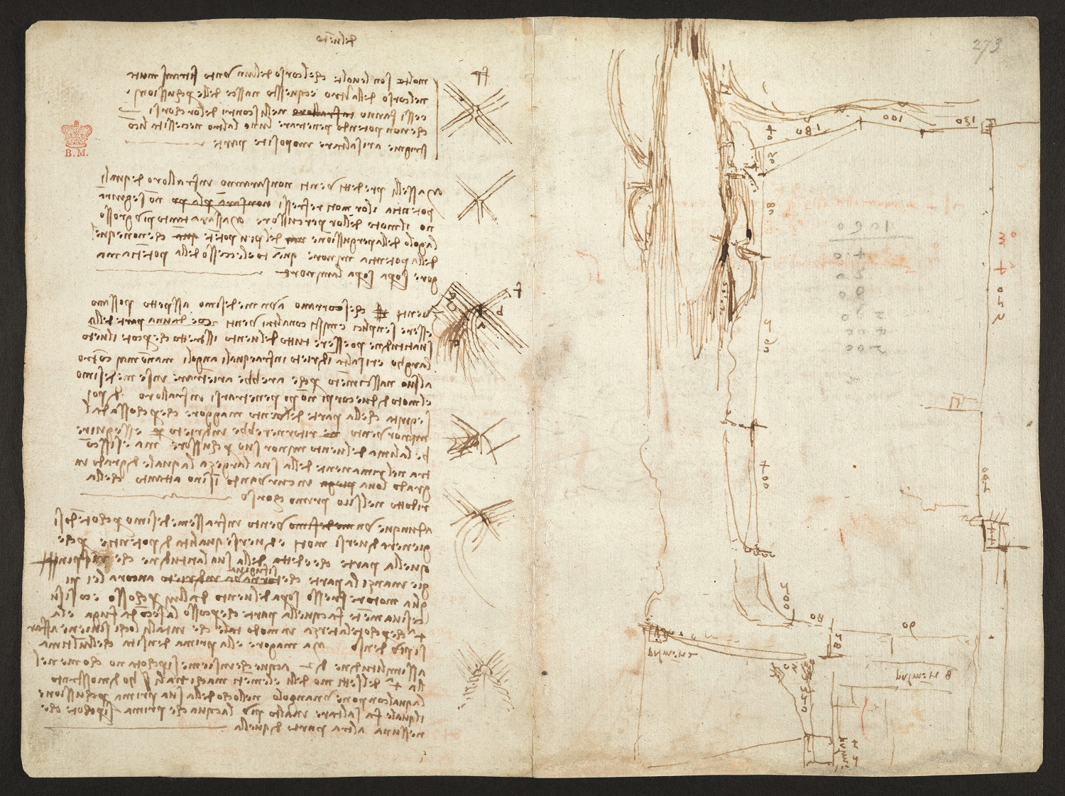 Water as Microscope of Nature. Leonardo da Vinci’s Codex Leicester ...