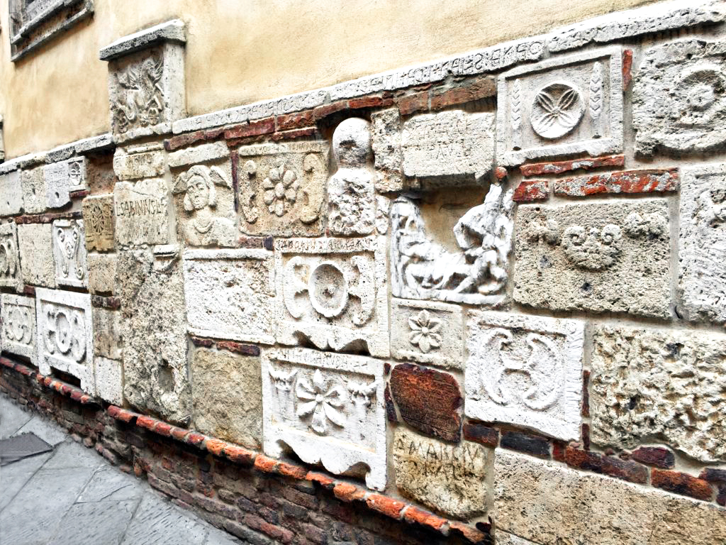 Lingua e scrittura degli Etruschi. Dal mito delle origini alla ...