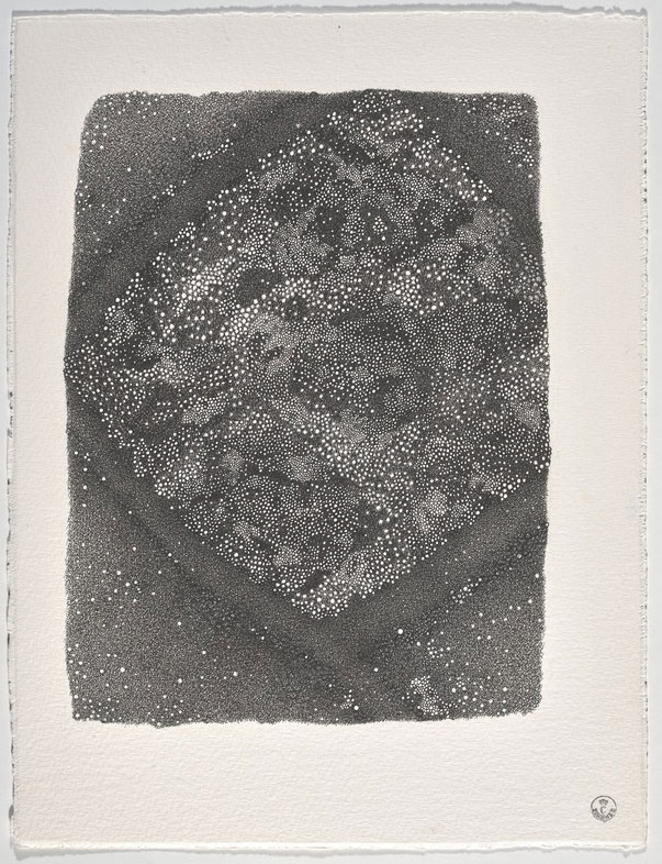 Omaggio a Baudelaire: les Fleurs du Mal di Giulia Napoleone. | Le ...