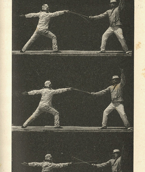 Le mouvement by Ètienne-Jules Marey | Artworks | Uffizi Galleries