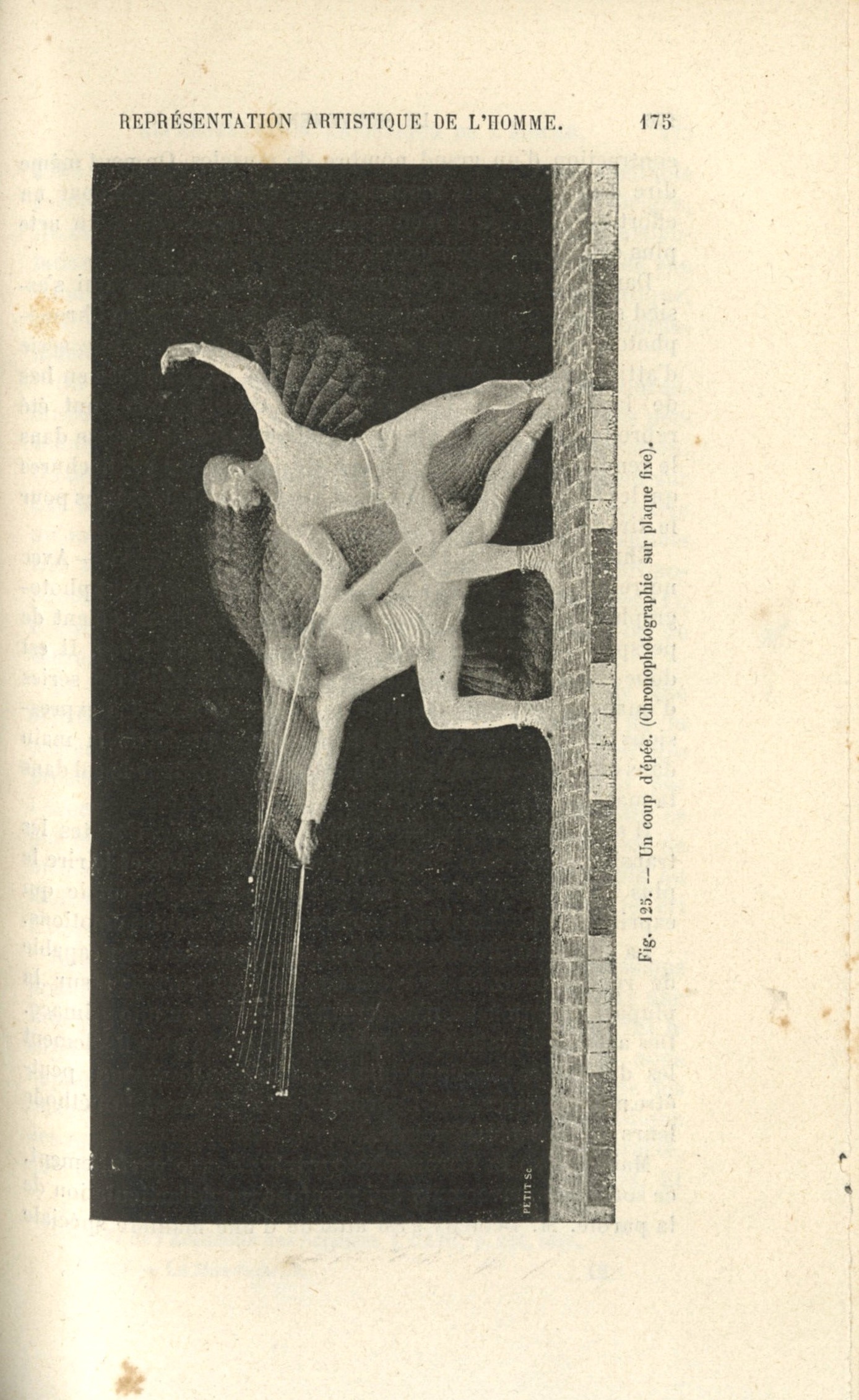 Le Mouvement di Ètienne-Jules Marey | Opere | Le Gallerie degli Uffizi