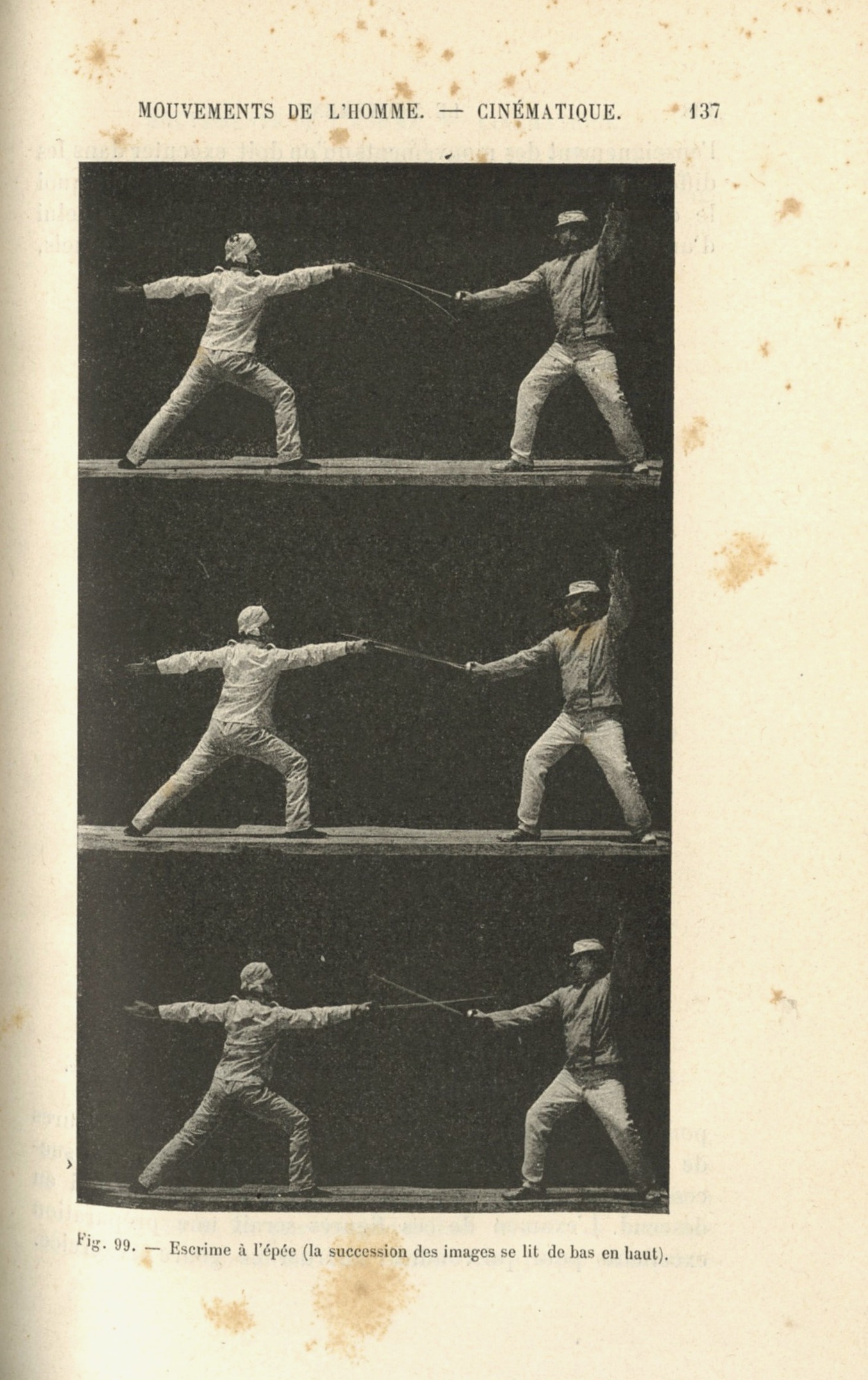 Le Mouvement di Ètienne-Jules Marey | Opere | Le Gallerie degli Uffizi
